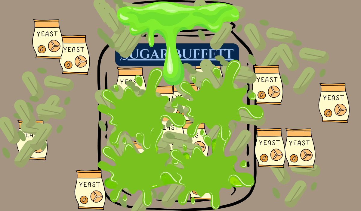 What Is Sourdough Discard? - On Yankee Farm